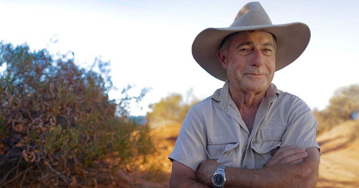 Desert Vet 2019: Red Dog's vet Dr Rick Fenny reveals surprising new TV ...