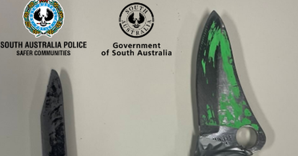 Drugs, weapons seized in Adelaide pubs crackdown