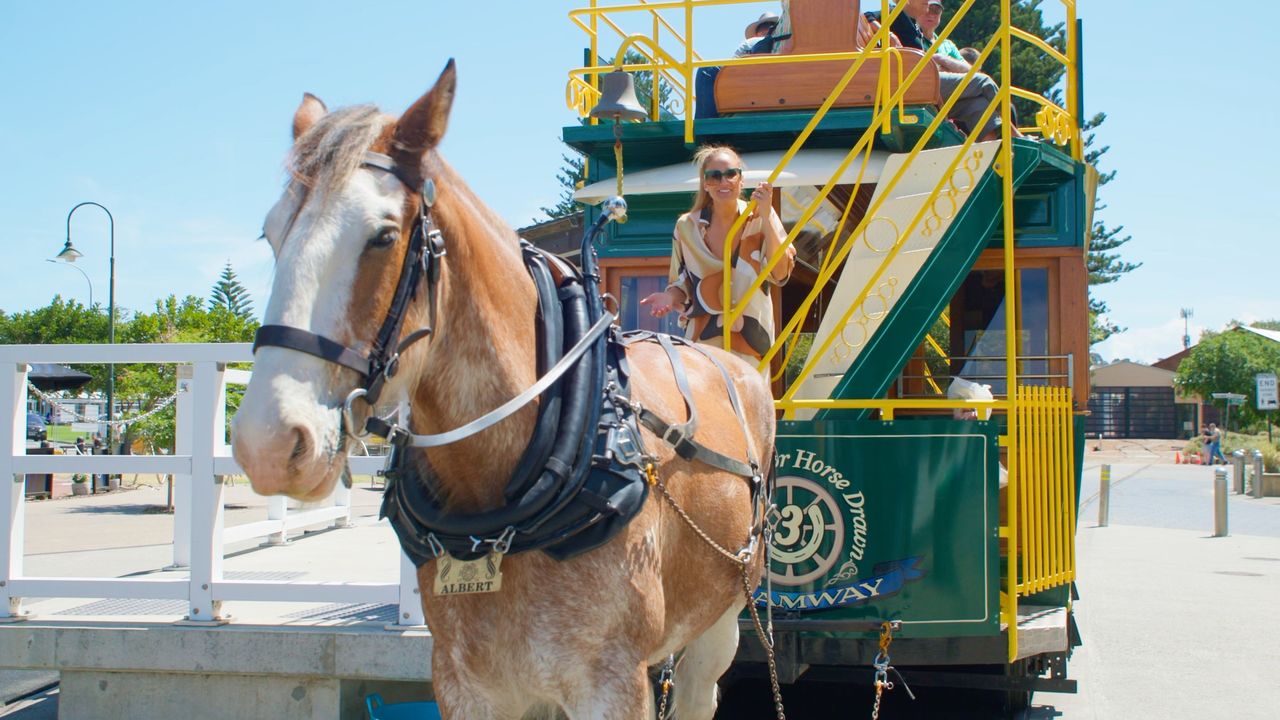 Watch Hello SA - Season 2024 - Victor Harbour.mp4 | 9Now