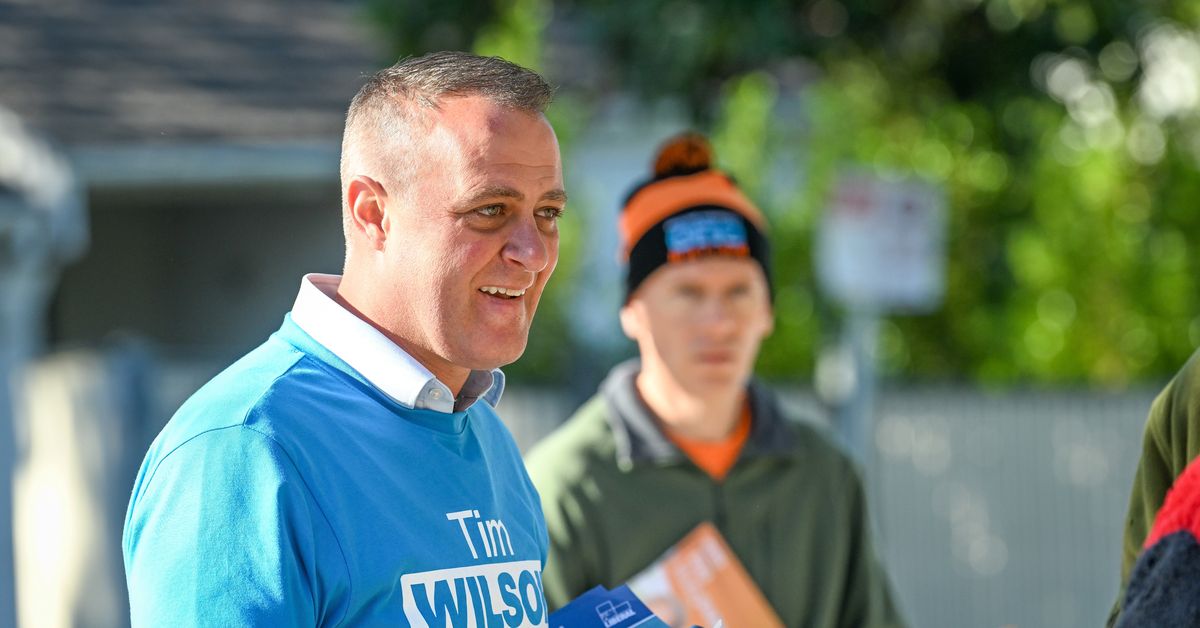 Federal Election 2025 results: Liberal Tim Wilson projected to reclaim ...