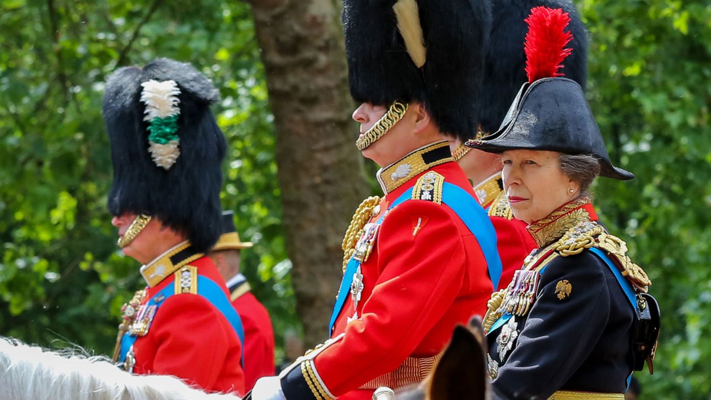 Princess Anne set to assume Prince Harry's military duties, following ...
