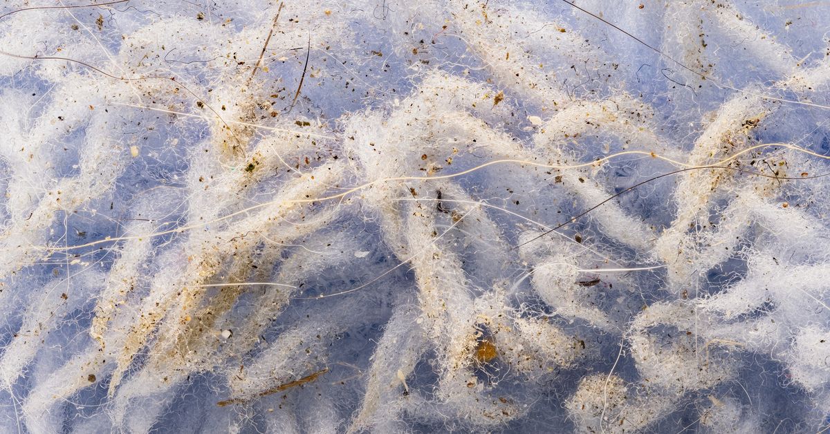 How often to wash dressing gowns: Hidden grime and bacteria on item you ...