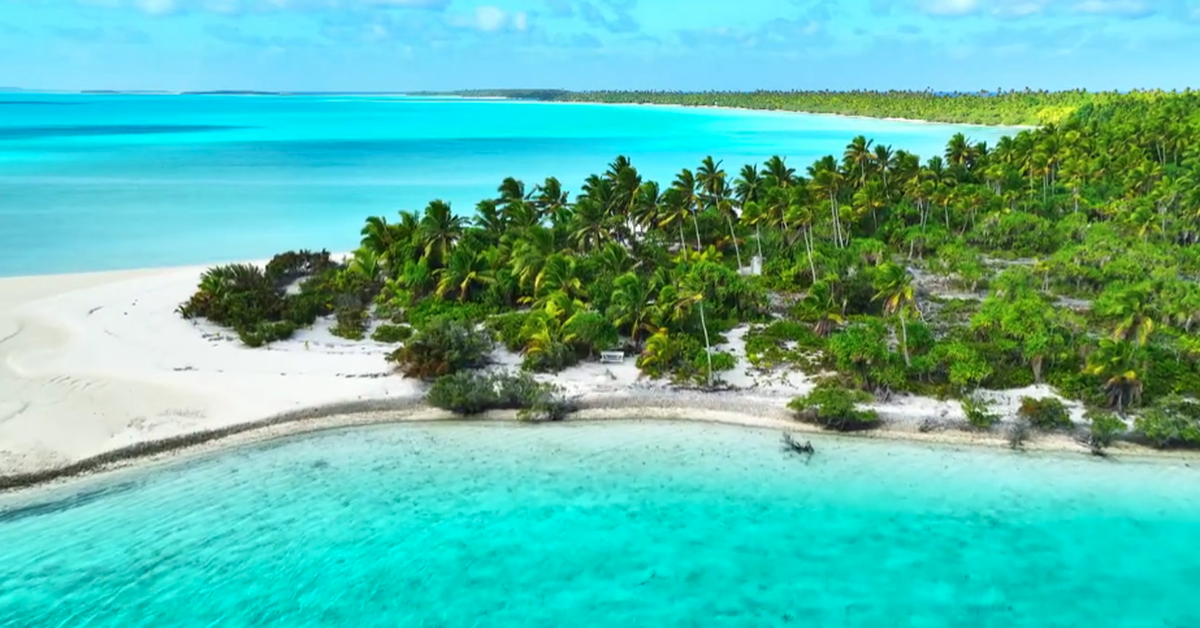 Travel Guides 2024: Things to see and do from their trip to the Cook ...