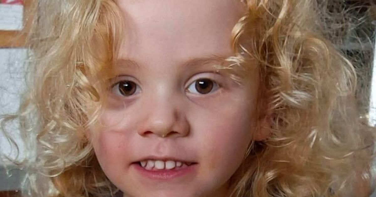 Missing boy Gus Lamont update: Renewed search for missing South ...