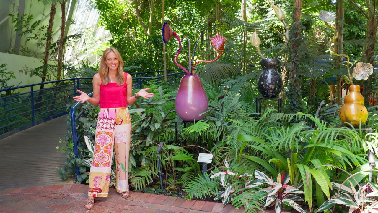 Watch Hello SA - Season 2024 - Moore Critters | 9Now