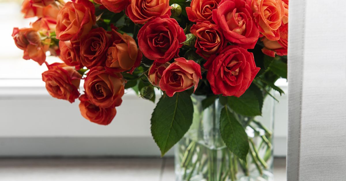 Nadia Scurria - Journalist Profile - Intelligent Relations