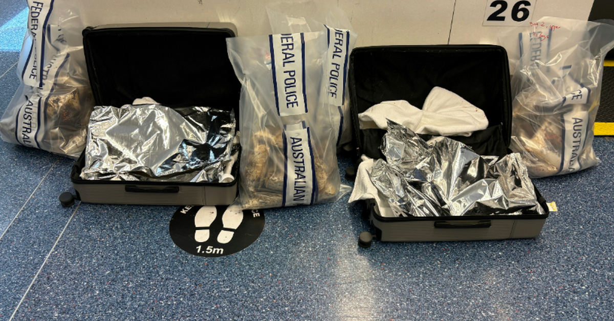 Chilli Drugs: QLD Woman Charged at Sydney Airport - News Usa Today