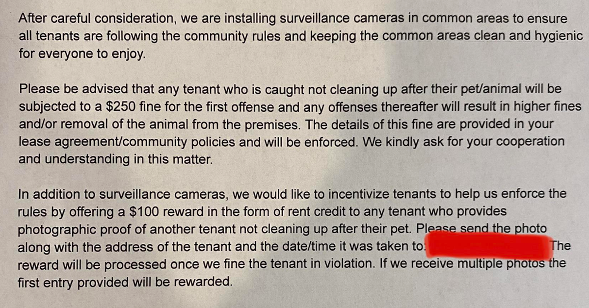 Residents offered discount rent to dob in neighbours' pet waste - 9Honey