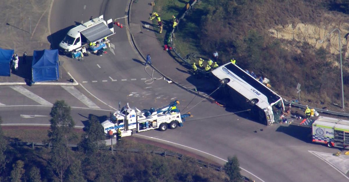 Bus company 'highly likely' to be sued for horror crash
