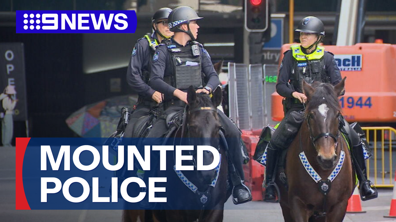 Mounted unit cracking down on crime