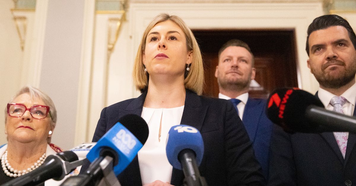 Jess Wilson: Who is the new Victorian Liberal Leader, her career ...