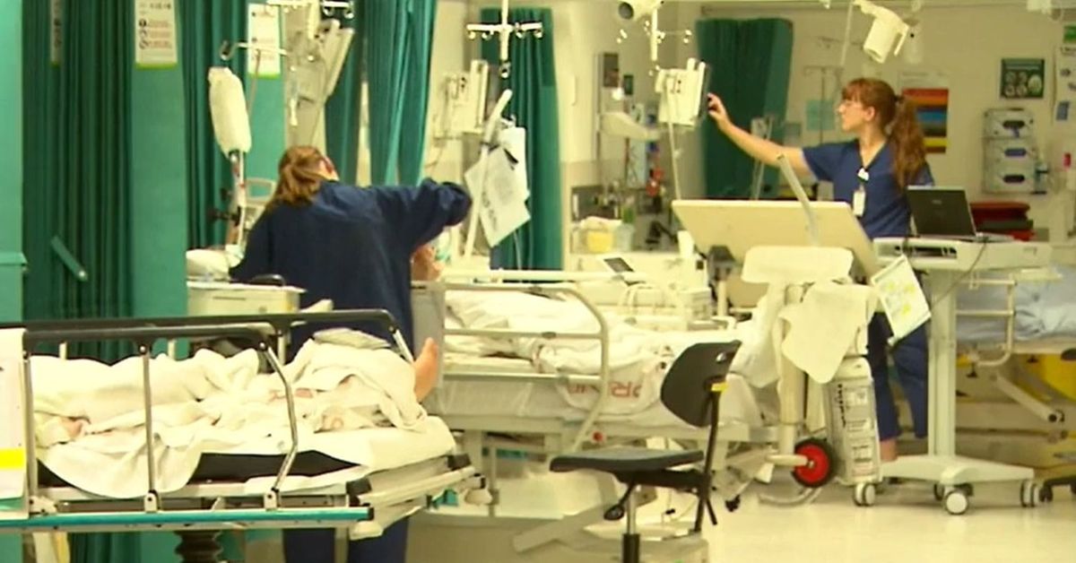 Body-worn cameras to enter NSW hospitals after rise in assaults