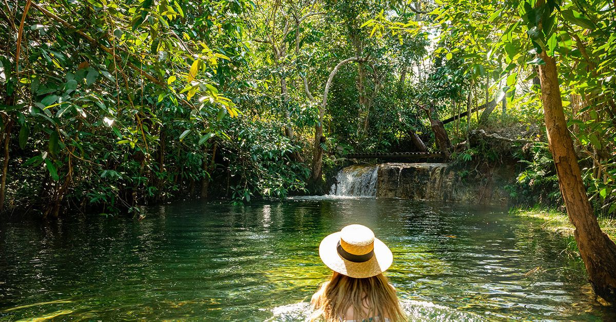 Exploring Tiwi Islands: Hidden Aussie travel spot where you can swim in ...