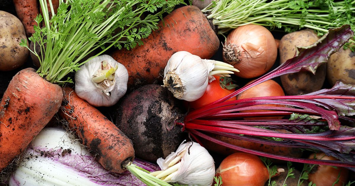Top 5 vegetables for nutrition (and you don't even have to eat kale ...