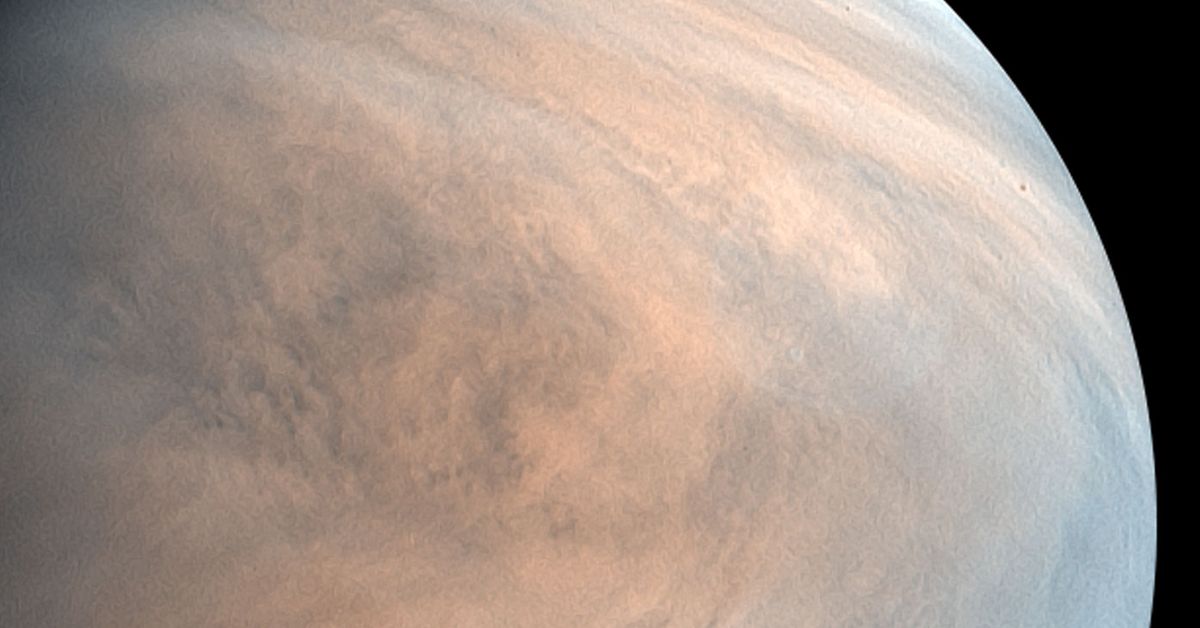 Possible sign of life on Venus sparked controversy. Now, scientists ...