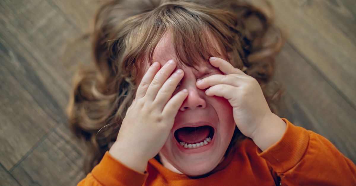 Mum Laura Fleming shares phone hack that stops toddler tantrums ...