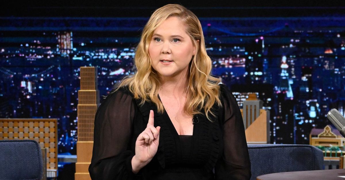 Comedian Amy Schumer shares health update after rude comments over her ...