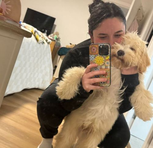 Dog attack: NSW woman Olivia's pup Enzo was 'brutally' mauled by two ...