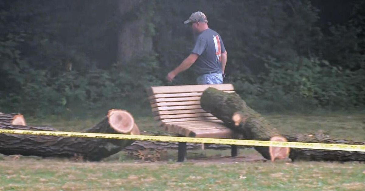 Girl trapped by fallen massive tree branch
