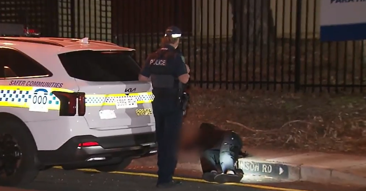 Seven arrested in violent stabbing incident in Adelaide