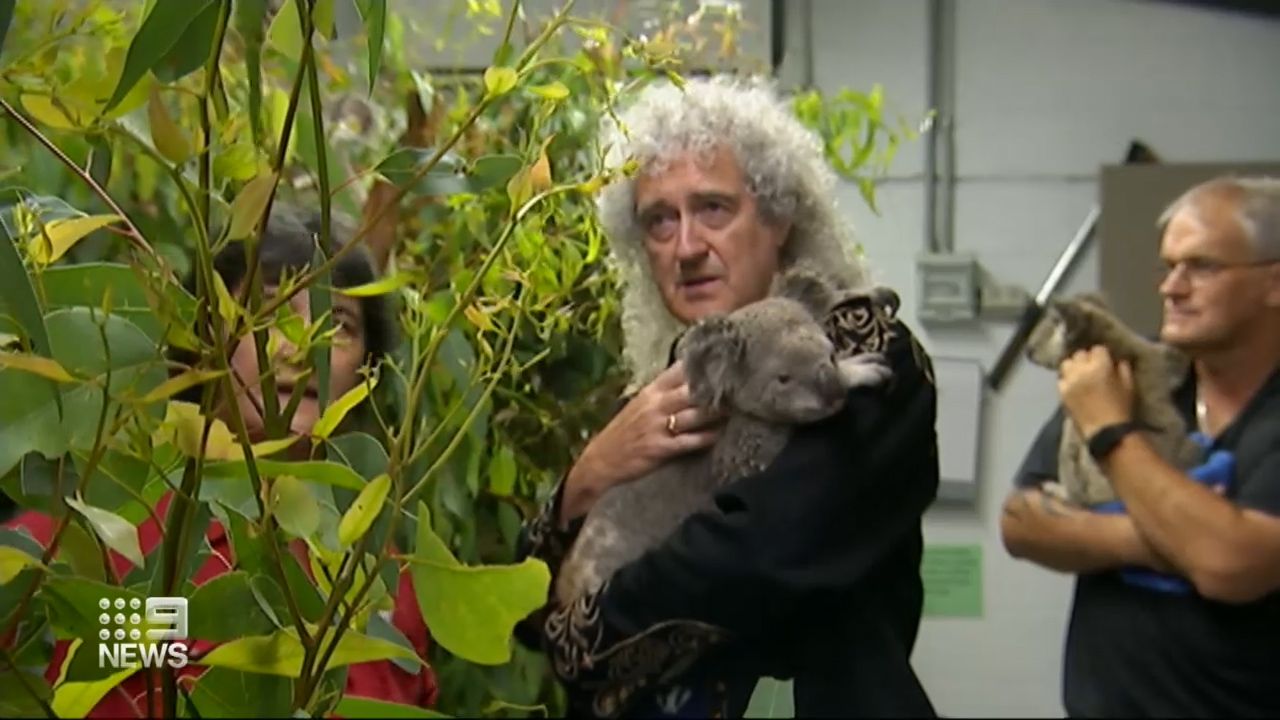 Queen guitarist Brian May visits RSPCA animal hospital on Australia tour