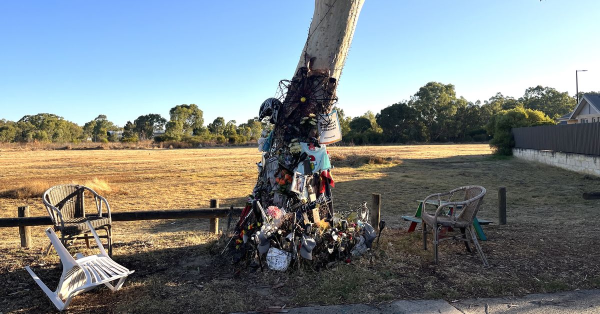 Cassius Turvey murder trial: 'Lucky he came, he saved you', jury told