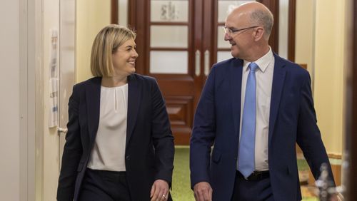 Jess Wilson: Who is the new Victorian Liberal Leader, her career ...