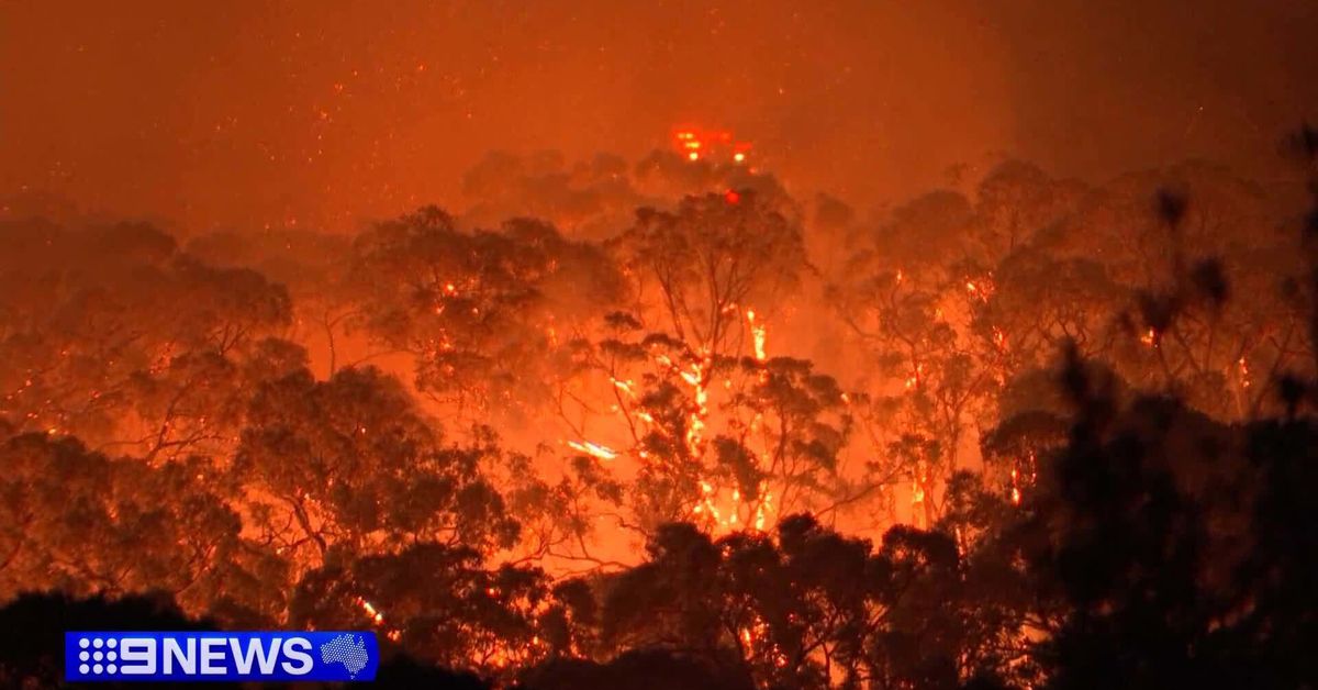 Melbourne fires: Bushfire destroys property in Montrose as locals evacuated