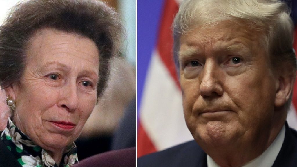 What really happened when Princess Anne 'snubbed' Trump - 9Honey