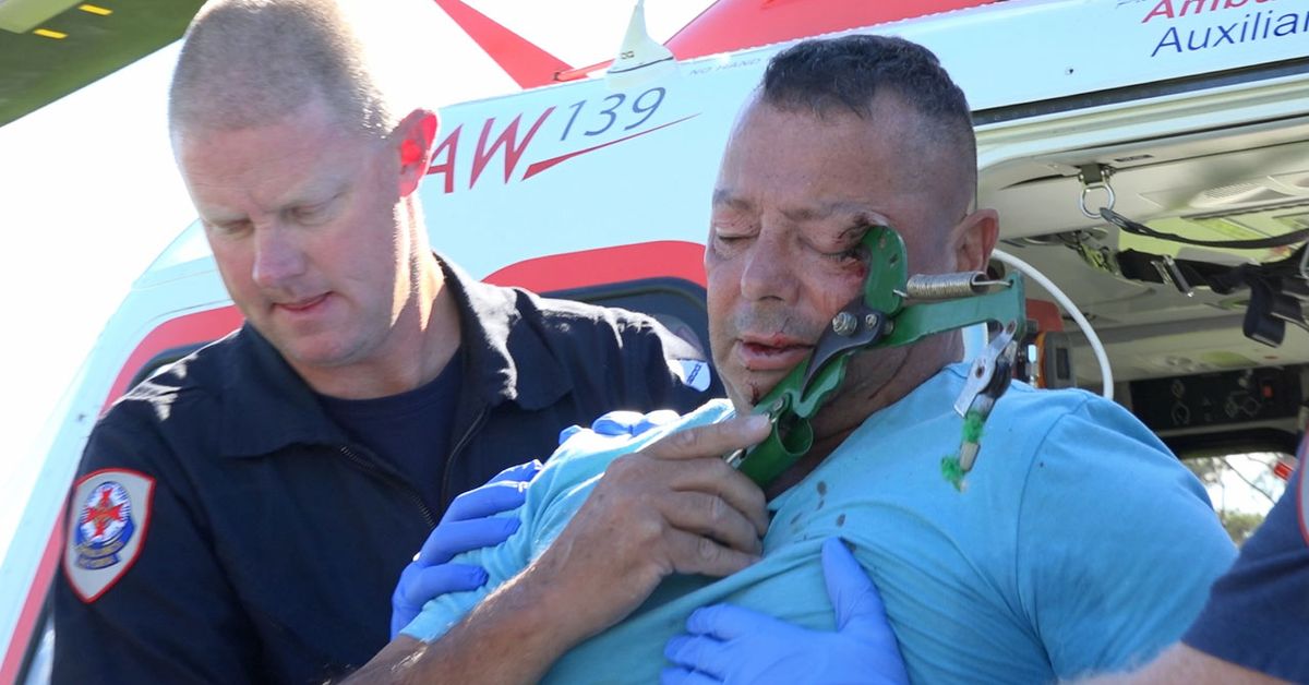 Paramedics TV show: Man impaled by pruning shears in freak accident ...