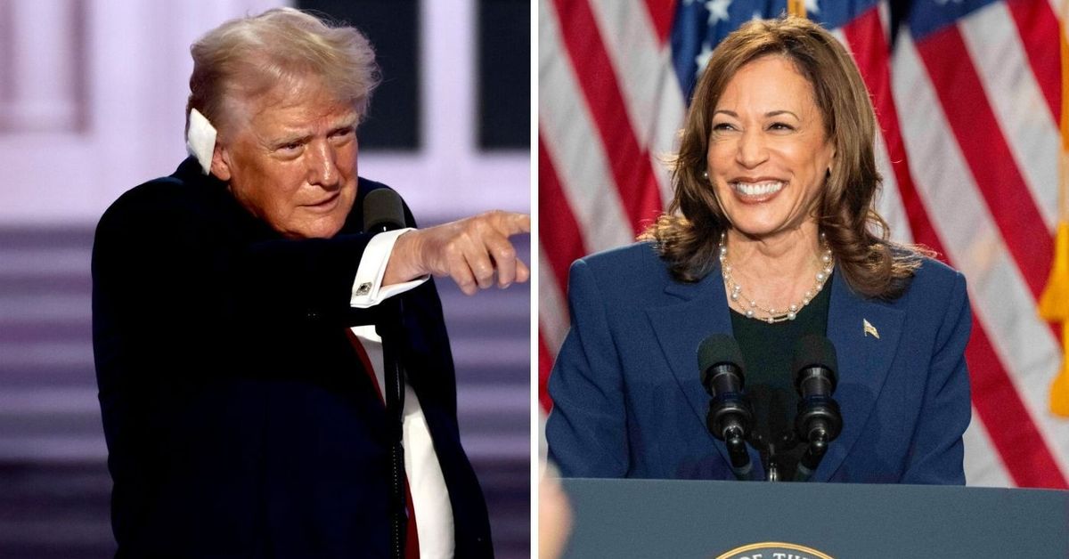 US election 2024: Donald Trump re-emerges to Kamala Harris as opponent ...