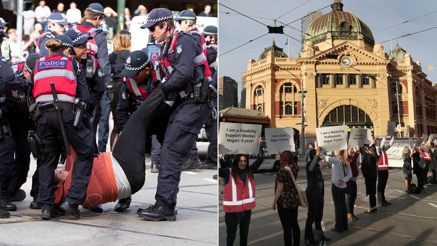 National news: Animal activist group causes chaos with protests across ...