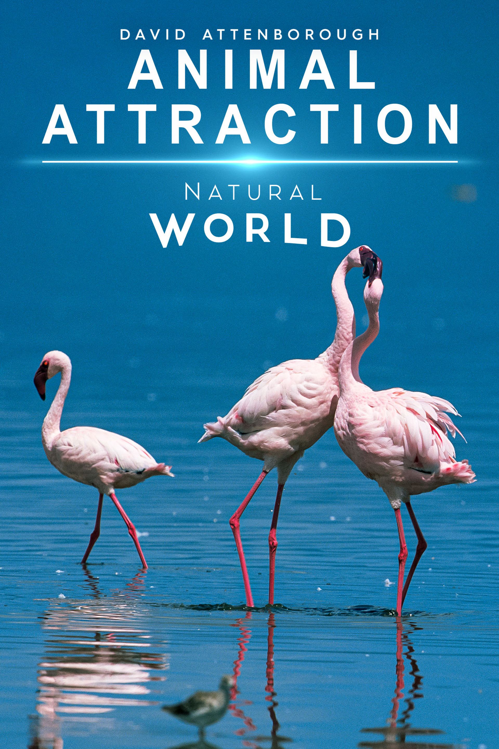 9Now | Stream Channel 9 live and on demand for free