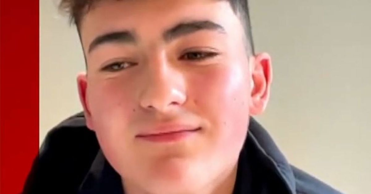 Charlie Bit My Finger baby now: Charlie Davies-Carr on his fame, and ...