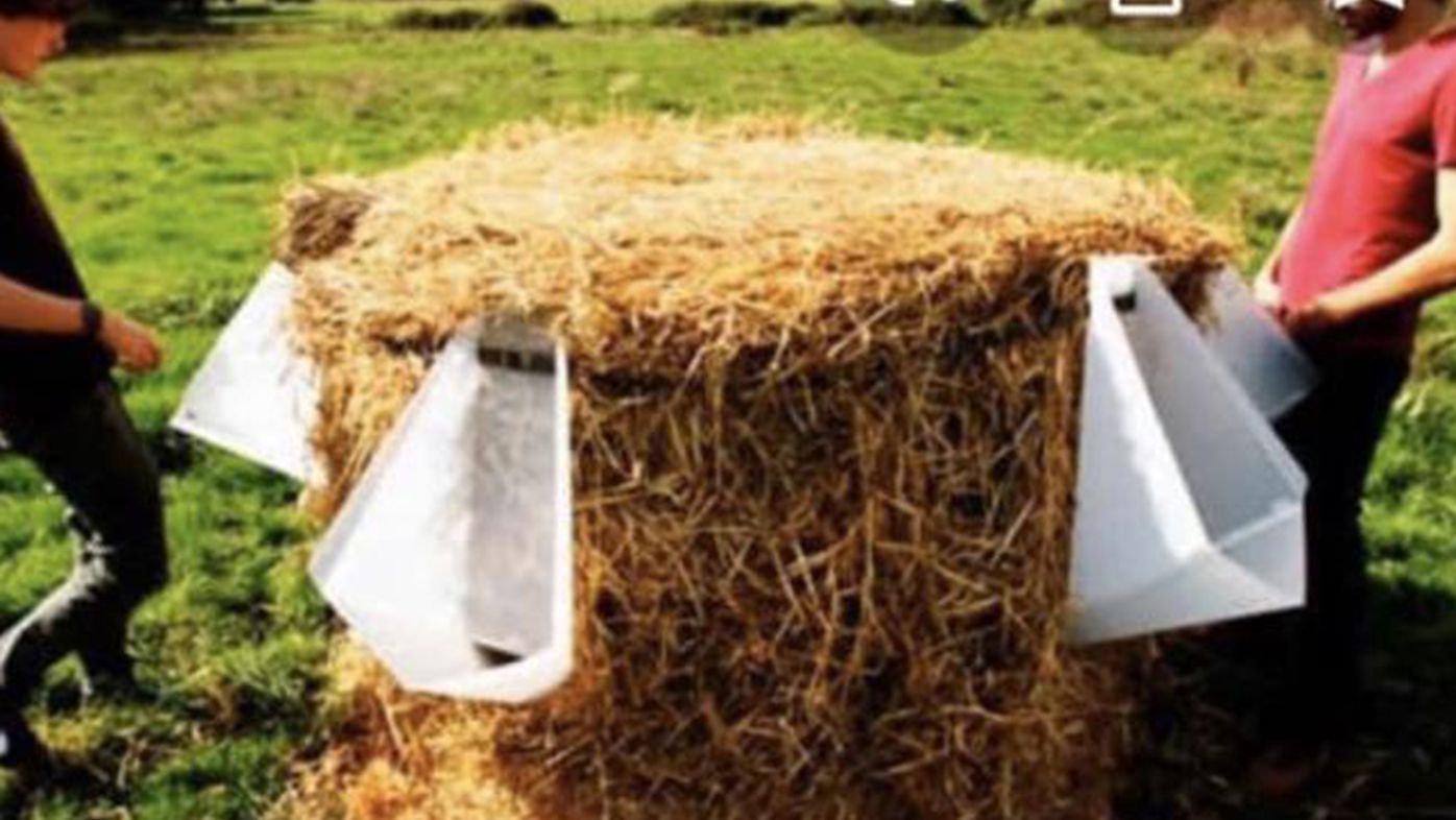 Bride's unusual call out to help create 'hay urinal' for her wedding ...
