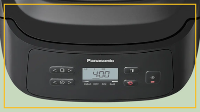Panasonic SD-PN100 Automatic Compact Bread Maker: Price, features ...