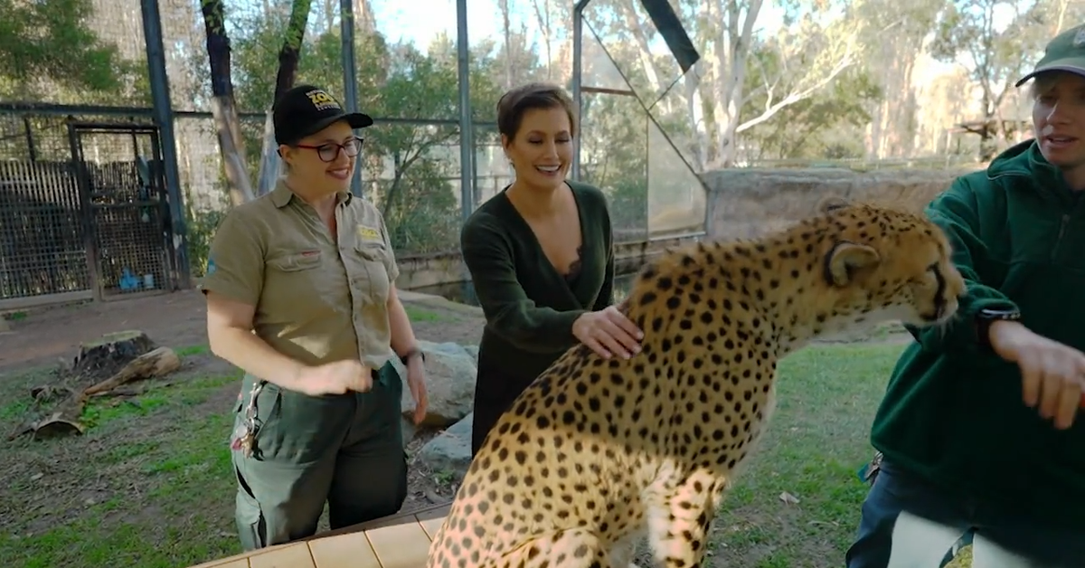 Getaway 2025: Sam McClymont lives out an African Safari dream - in Canberra