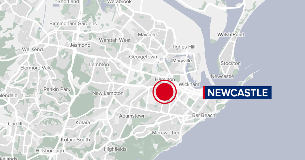 Hamilton death: Man in his 20s dies after early morning stabbing in ...