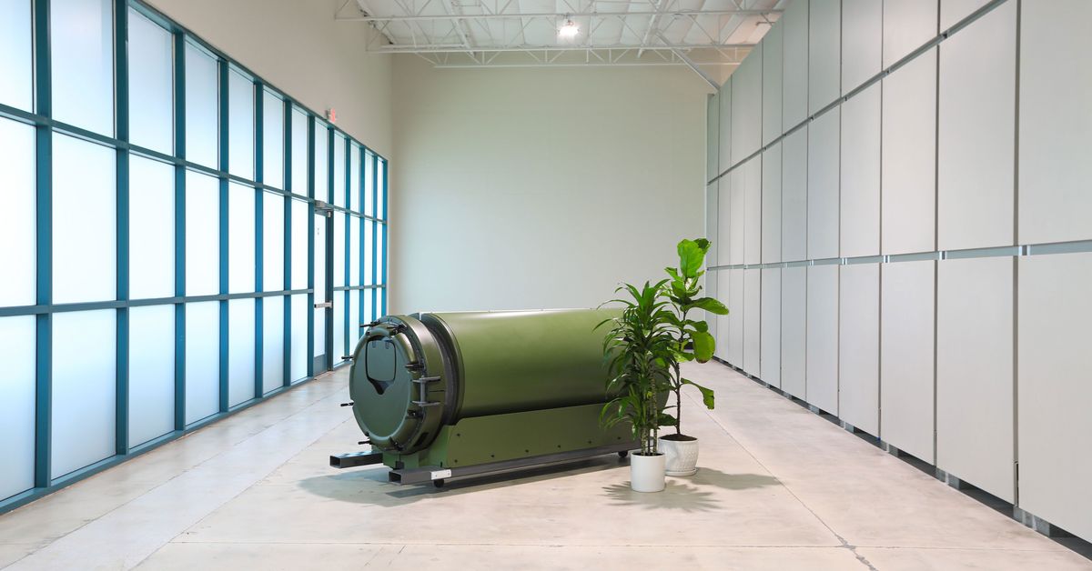 World news: Human composting is rising in popularity as an earth ...