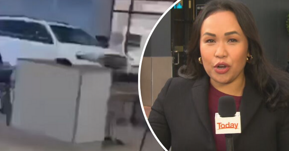 Nine reporter witnesses 'terrifying' shopping centre incident