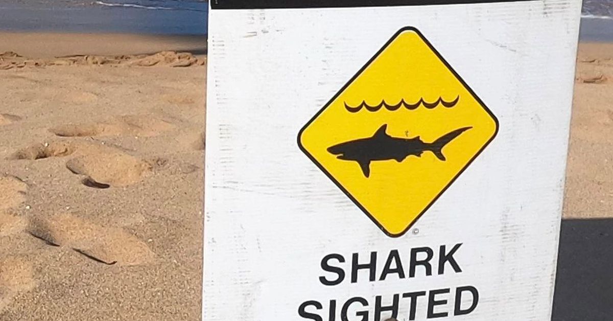 Warning after shark attack at Perth beach