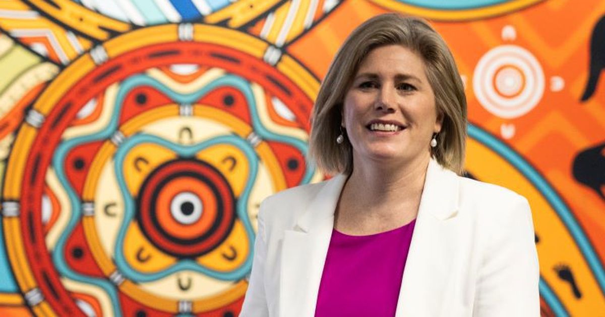 Clare Looker: Victoria's chief health officer to stand down at end of year