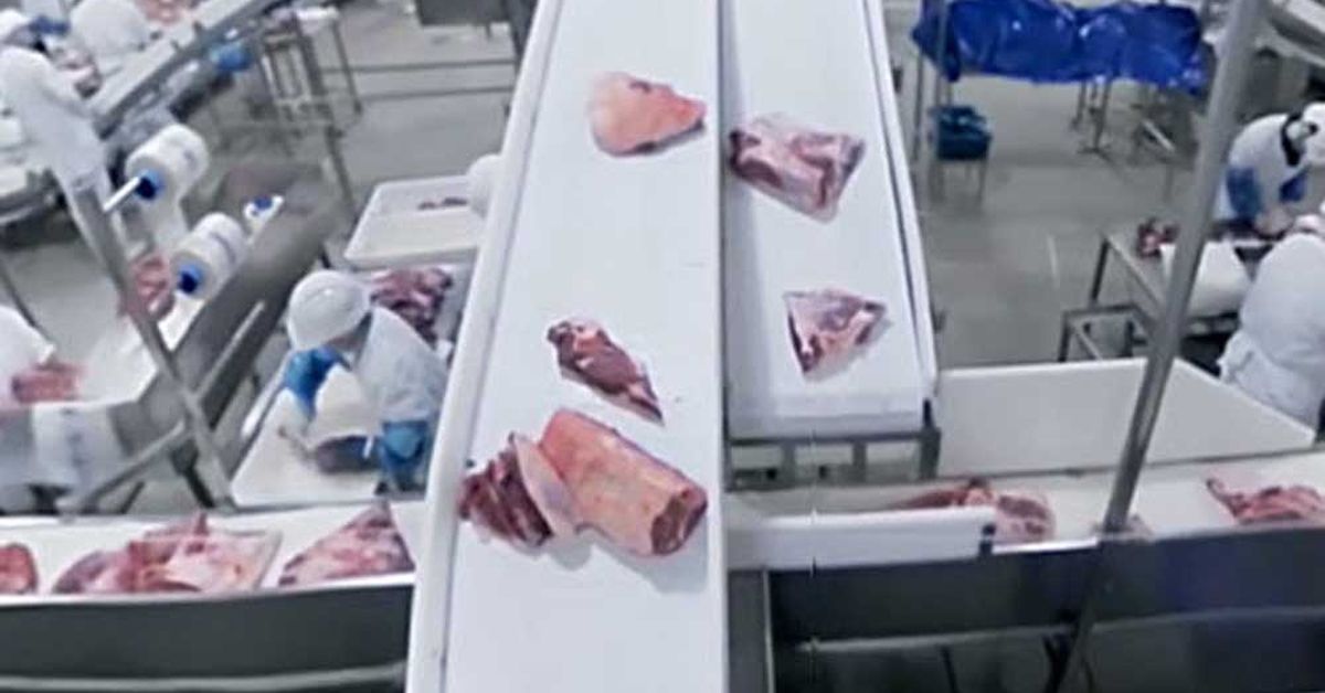 Meat and Livestock Australia video looks at meat production - 9Kitchen