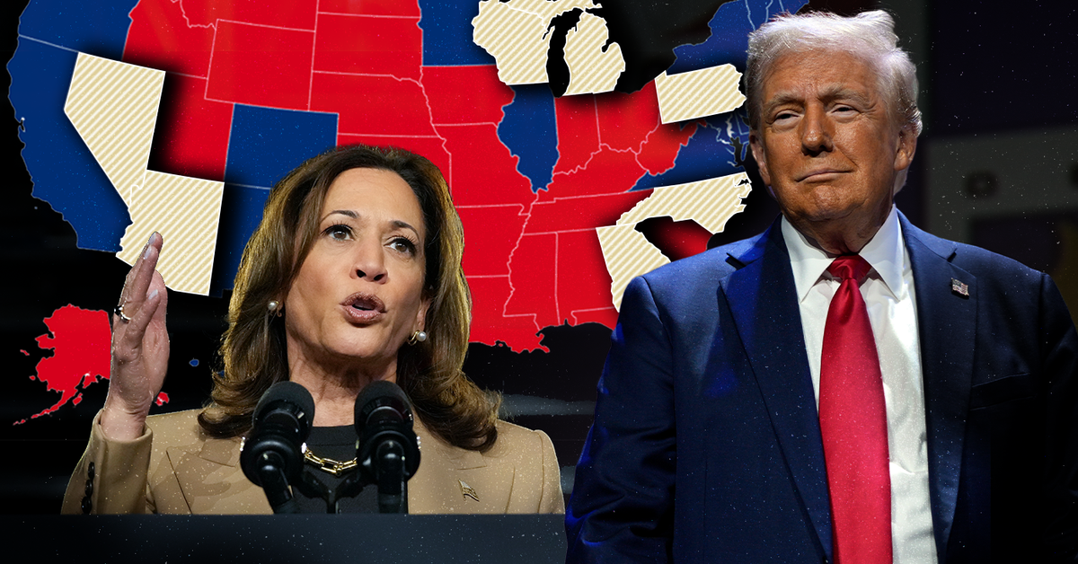 US Election 2024: These seven battlegrounds are the only ones that ...