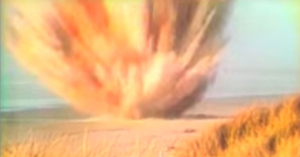 Remember that time chunks of exploded whale rained down on a US beach ...