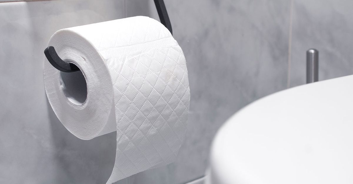 CHOICE reveals the best and worst toilet paper for 2023 - 9Honey
