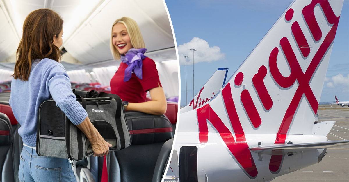 Virgin Australia confirms pet-friendly flights will take off in October ...