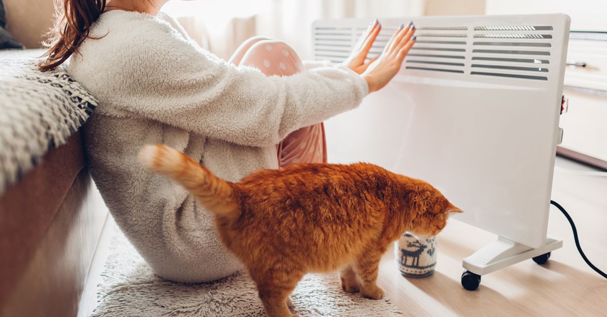 How to keep your home warm in winter: Tips for keeping heat trapped ...