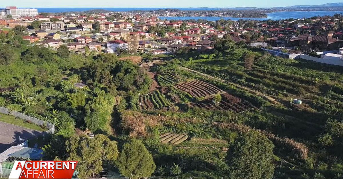 Green Connect at Wollongong is a self-sustainable zero waste farm