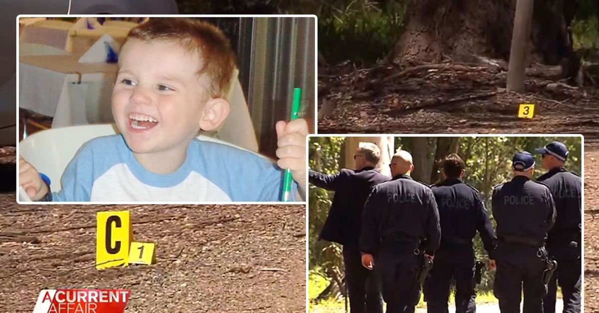 William Tyrrell: NSW Police renew search for three-year-old